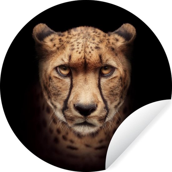 WallCircle - Muurstickers - Behangcirkel - Cheetah - Dieren - Zwart - 80x80 cm -... | bol