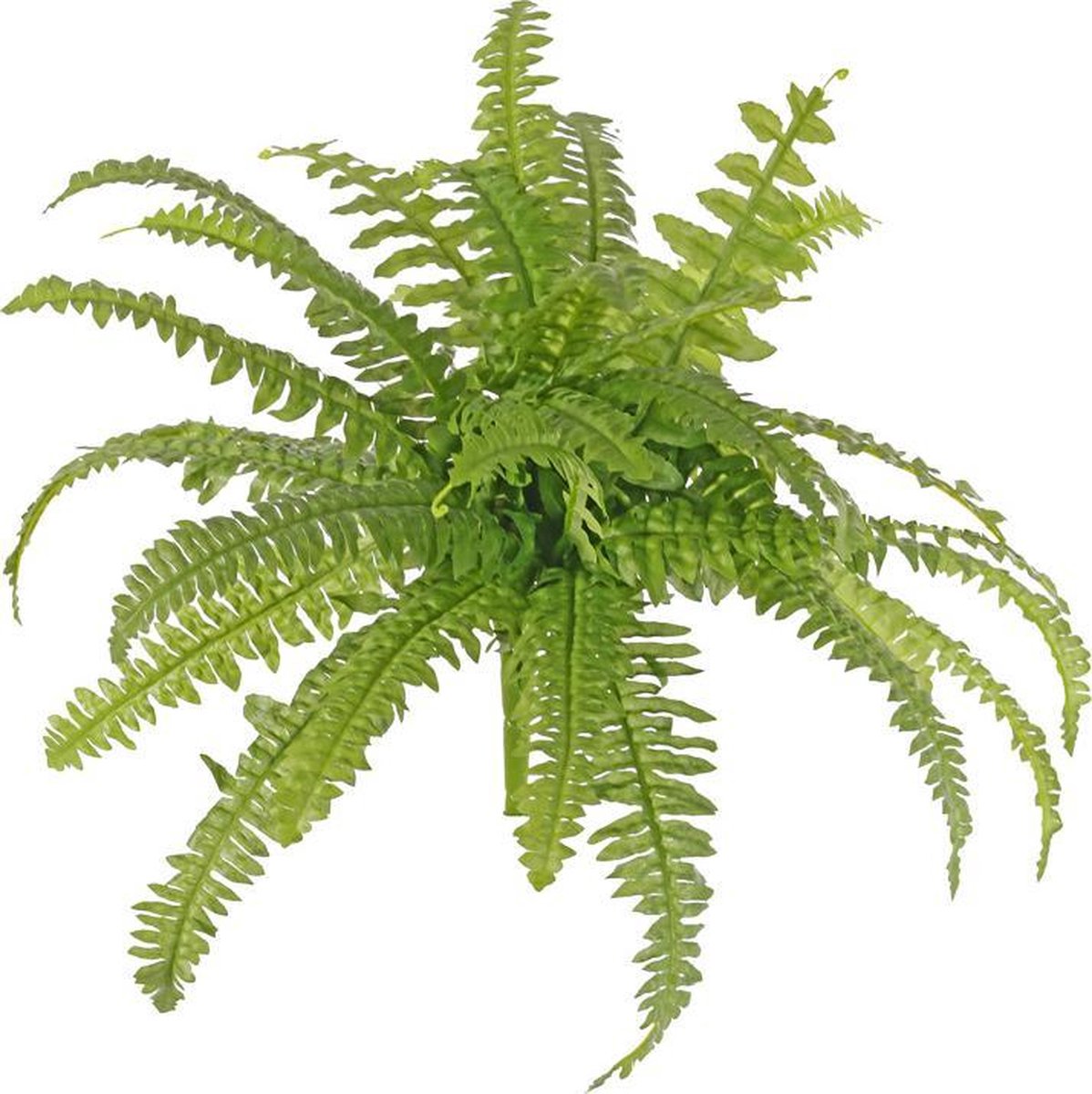 Boston varen - kunstplant - groen - 33 bladeren - Ø 50 cm ...