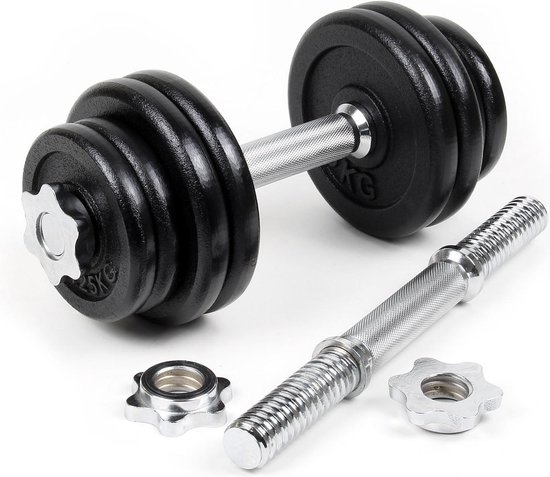Halterset 20kg met 8 halterschijven & 2 stangen, gietijzer ...