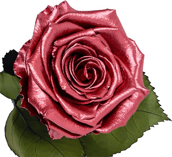 Longlife Roos Metallic Rood – Rosuz - Nooit meer weggooien! Het ...