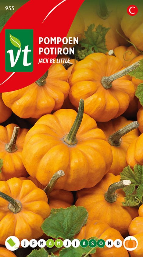 Pompoen 'Jack Be Little' Zaden - Kleine en Charmante Herfstdecoratie | bol
