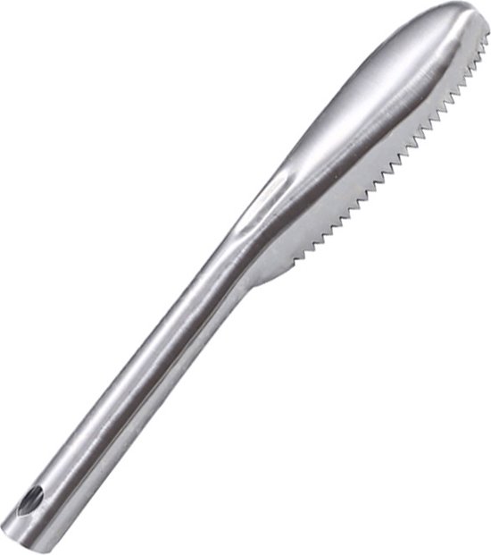 Roestvrij Vis Schalen Schrapen - Vis Scaler Borstel - Vis Schaal ...