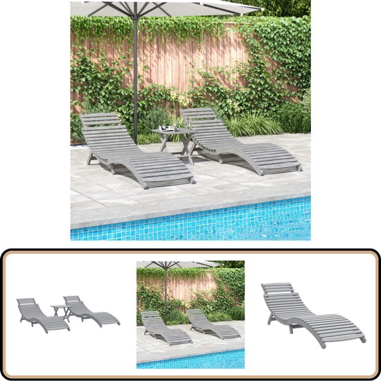 vidaXL Ligbedden 2 st met tafel - Acaciahout - Grijs Ligbed - Ligbedden ...