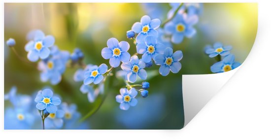 Muurstickers - Sticker Folie - Bloemetjes - Blauw - Vergeet mij nietjes ...