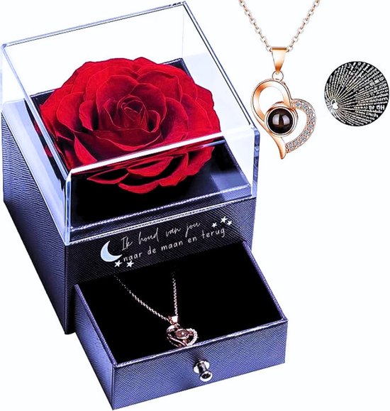 Eeuwige Rode Roos Met 'I Love You' Ketting In 100 Talen – Perfect ...