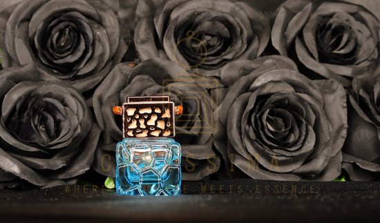 Carissima Car Perfumes - Auto parfum - 'Spicebom' - Luxe - Auto ...