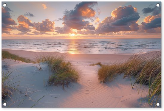 Tuinposter 90x60 cm - Tuindecoratie Zonsondergang - Zee - Strand - Duinen - Natuur -... | bol