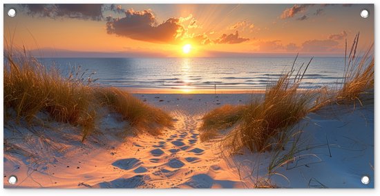 Tuinposter 80x40 cm - Tuindecoratie Zonsondergang - Duinen - Strand - Zee - Poster... | bol