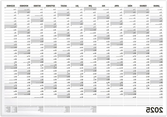XXL Jaarplanner 2025 - Wandkalender - 1 stuk - Zwart-wit - 96 x 67 cm | bol