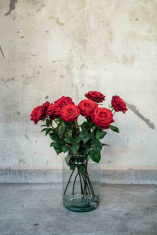 20 rode rozen (Red Naomi A1) incl. luxe vaas en gratis bedrukte kaart | bol