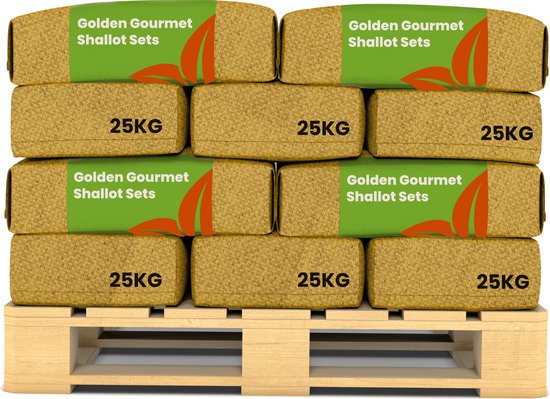 Plantsjalotten Golden Gourmet 14/21 (500 Kg) - Plantgoed ...