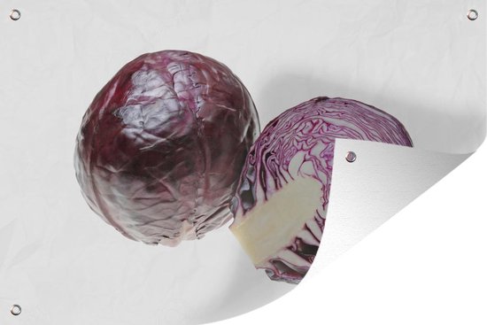 Un chou rouge entier et un chou rouge coupé en deux sur fond blanc ...