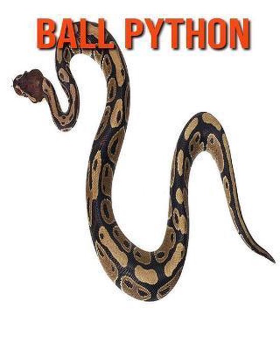 Ball Python, Lauren Massarella | 9798693760660 | Boeken | bol.com