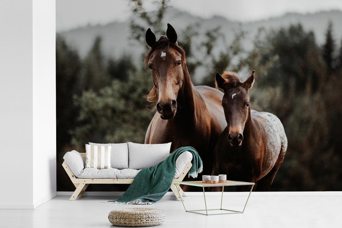 Behang - Fotobehang Paard - Veulen - Natuur - Breedte 390 cm x hoogte ...