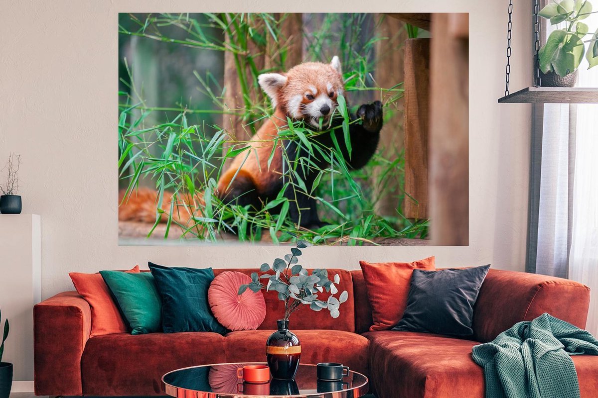 Poster Rode Panda - Bamboe - Groen - 180x120 cm XXL | bol.com
