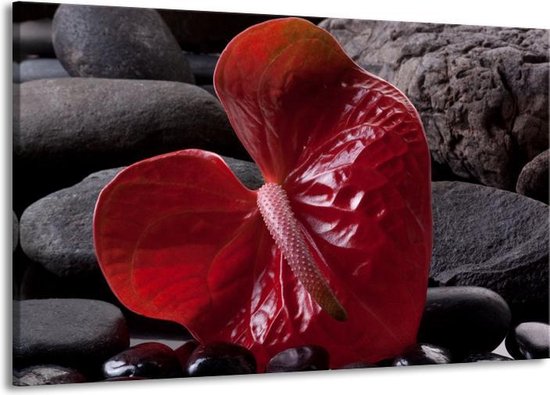 Schilderij Op Canvas - Groot - Spa - Rood, Grijs, Zwart - 140x90cm ...