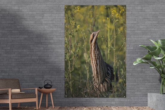 Muurdecoratie Een roerdomp zit in de graslanden - 120x180 cm ...