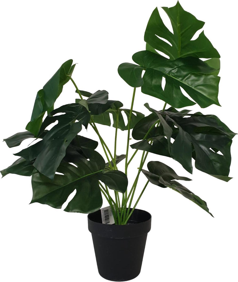 Kunstplanten - Set Van 2 Stuks! - Monstera En Calathea - Nepplanten ...