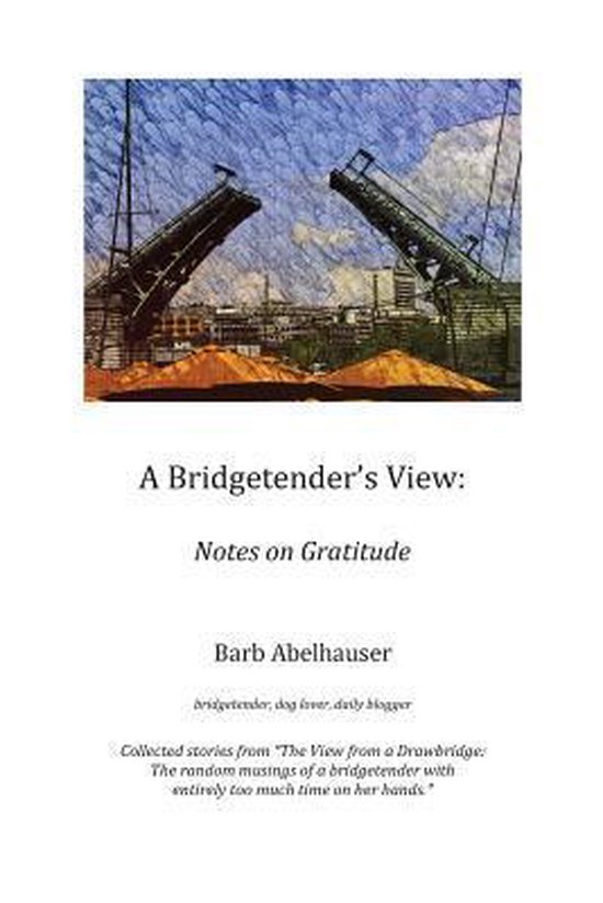 A Bridgetender's View | 9781536981575 | Deborah Drake | Boeken | bol