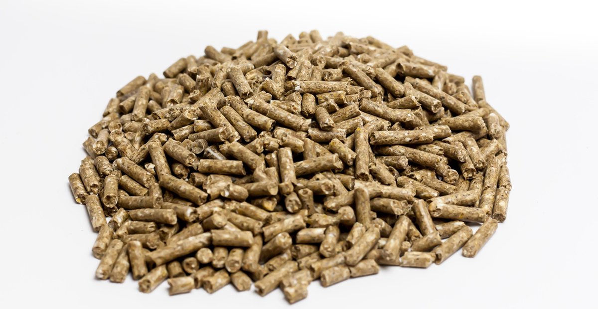 Varkensbrok Hobby - Varkenskorrel - Varkensvoer hobbyvarken 20kg | bol