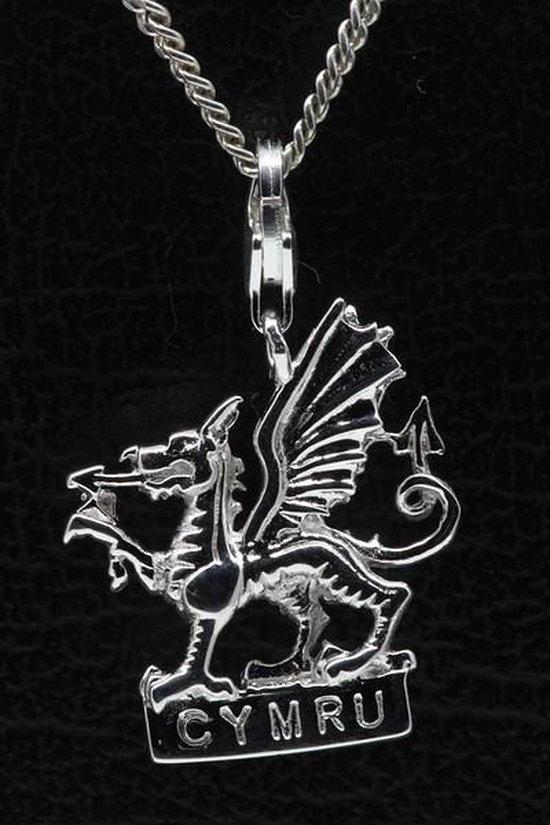 Zilveren Cymru Wales hanger én bedel | bol