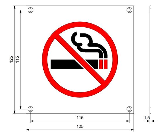 RVS pictogram 'Rookverbod' vierkant | bol