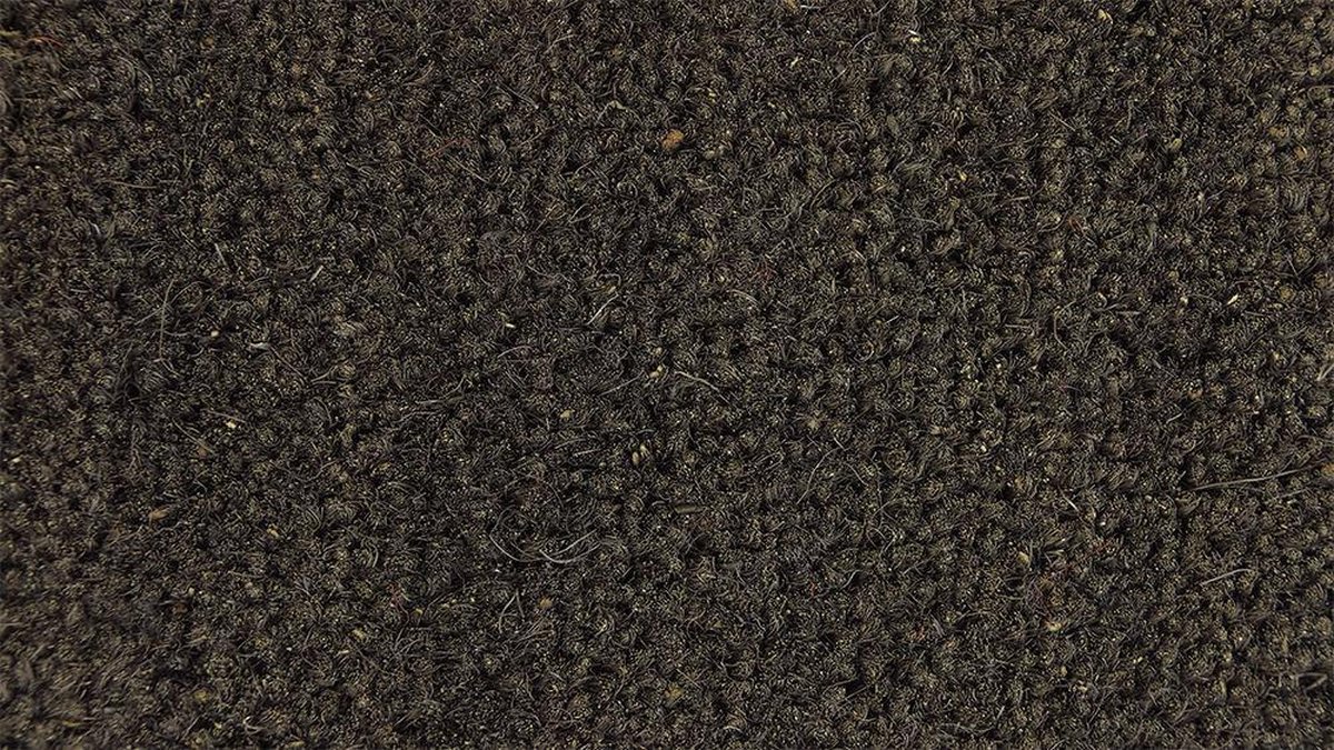 Kokosmat Grijs Deurmat- 40 x 70 cm - Antislip rug - Slijtvast | bol.com