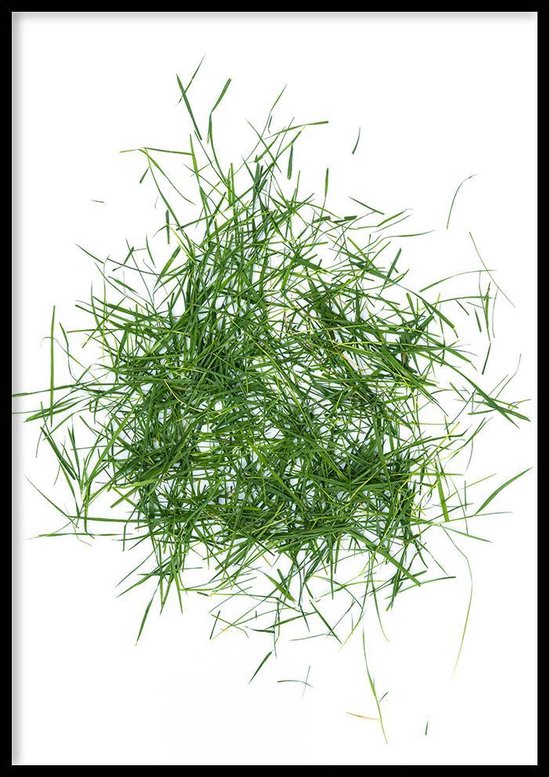 Poster Grasspriet - 50x70cm - Gras Poster | bol