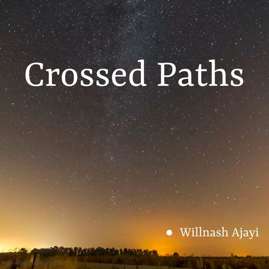 Crossed Paths, Willnash Ajayi | 9798882364129 | Boeken | bol