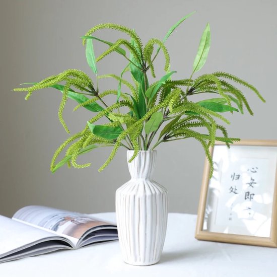 Steelbloem Gras pluim Dogtail groen | bol