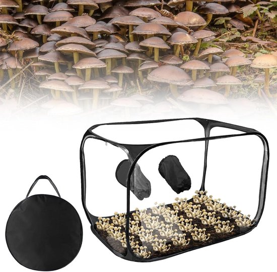 Portable Foldable PVC Mushroom Grow Box with 2 Arm Ports - Compact ...