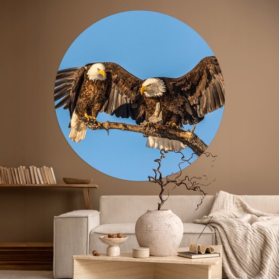 WallCircle - Behangcirkel - Vogel - Takken - Arend - Roofvogels - Lucht ...