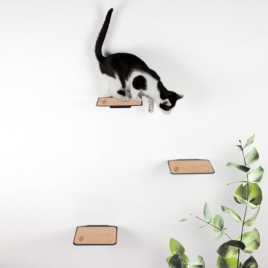 Equivera Katten Klim Wand - Katten Klimmuur - Klimmuur Kat - Katten ...