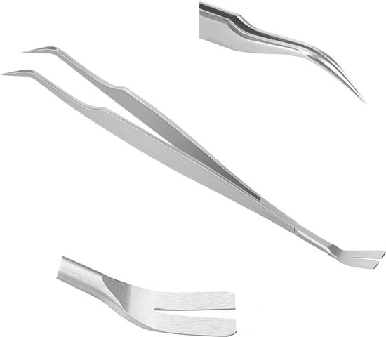 Professional Stainless Steel Tick Pliers - Easy Tick Removal - Any Size ...