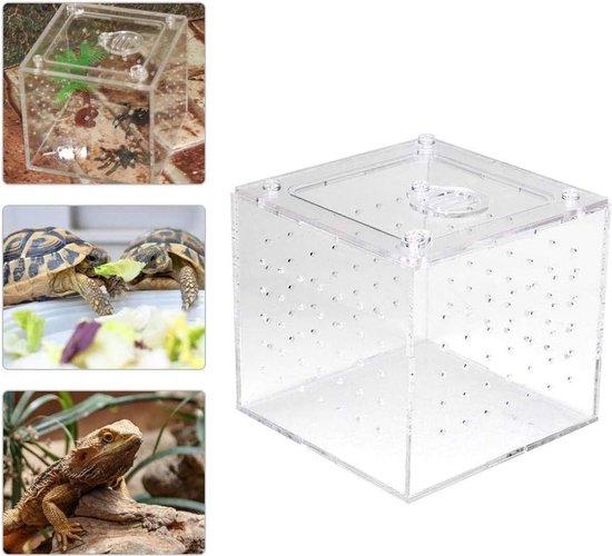 Acryl Fokdoos Terrarium Feeder - Voeden Slangen Spin Hagedis - Huis ...