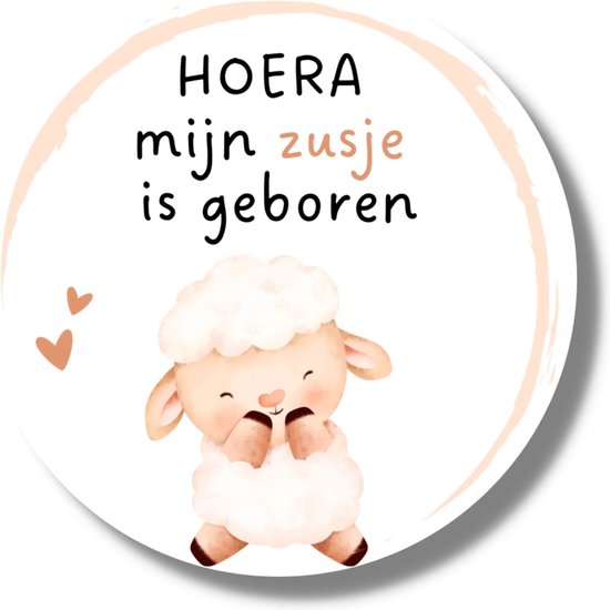 Hoera mijn zusje is geboren Stickers - Trakteren Uitdelen op school ...