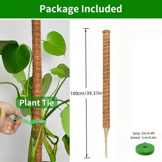 Mosstok voor Planten - 100cm - Plantenstok - Plantensteun - Perfect ...