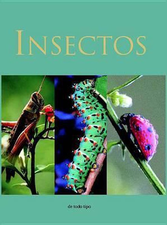 Insectos, Parragon | 9781407567709 | Boeken | bol