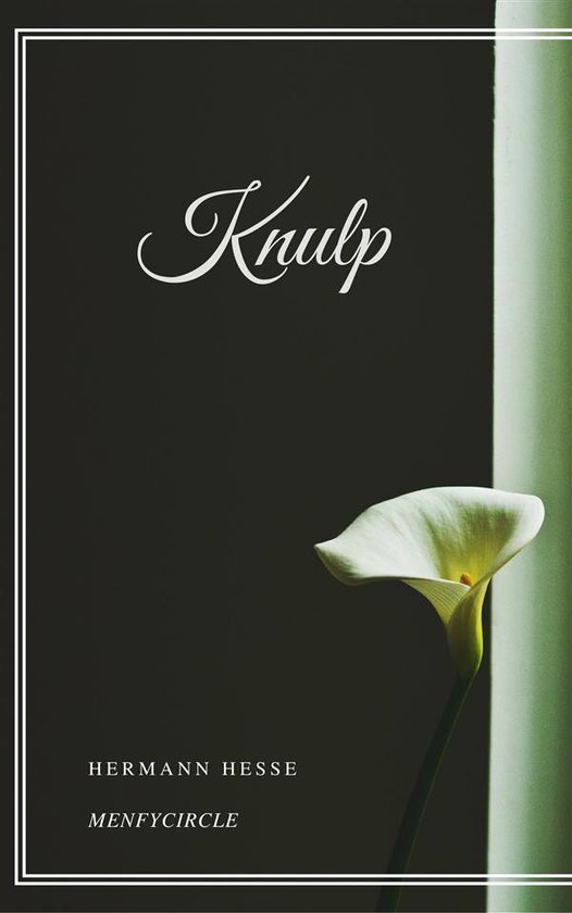 Knulp (ebook), Hermann Hesse | 9788827556313 | Boeken | bol.com