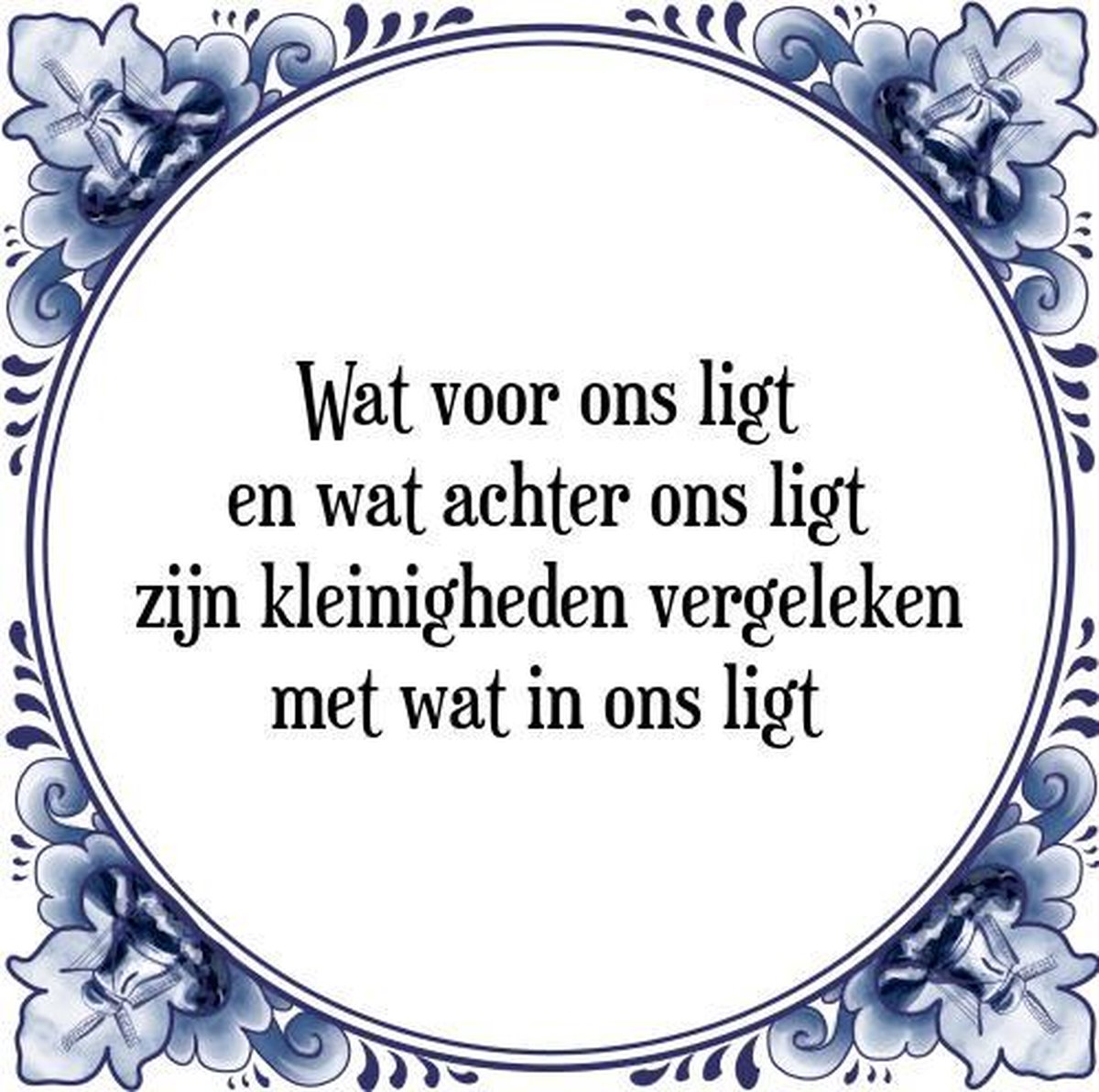 Tegeltje met Spreuk (Tegeltjeswijsheid): Wat voor ons ligt en wat achter ons ligt zijn... | bol.com