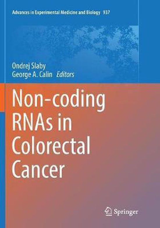 Non Coding Rnas In Colorectal Cancer Slaby Ondrej 9783319824918