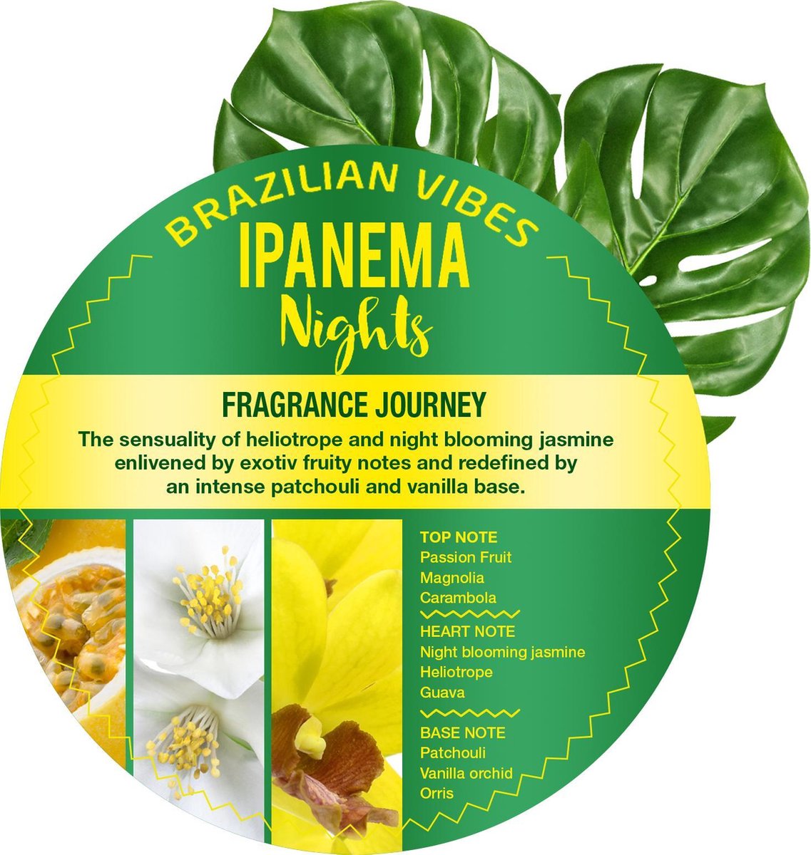 Fa Brazilian Nights Deodorant Spray 6x 150ml | bol.com