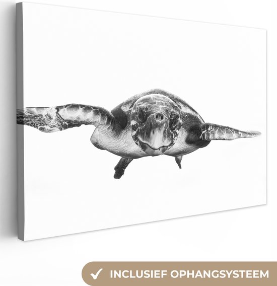Canvas schilderij - Schildpad - Dieren - Zwart - Wit - Illustratie - Canvas doek -... | bol