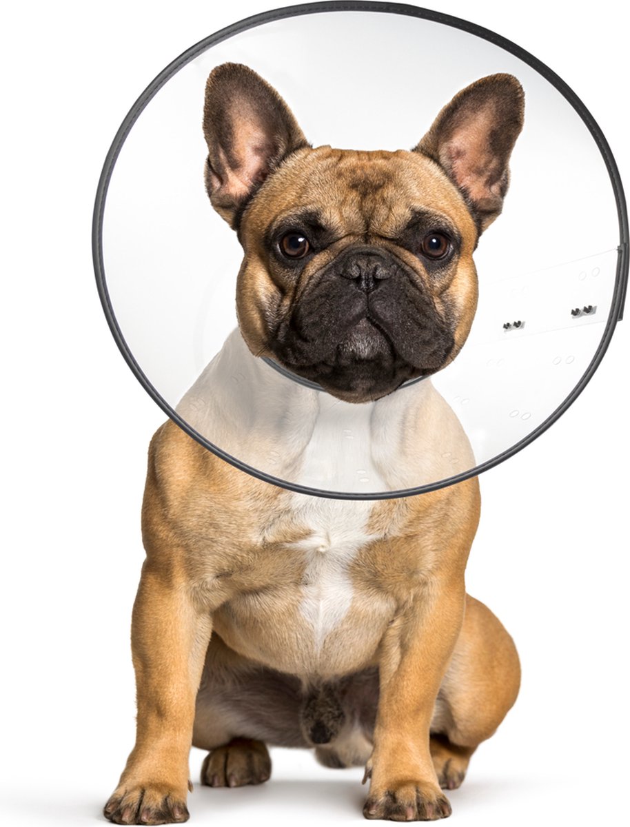 Zenpet E-Clear Plastic E-collar Medium – Doorzichtige hondenkraag ...