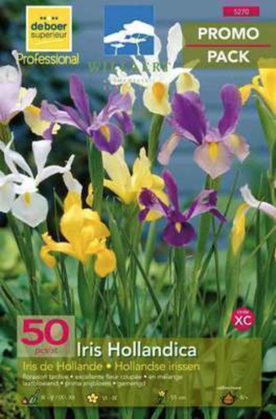 Iris hollandica gemengd - mix | bol