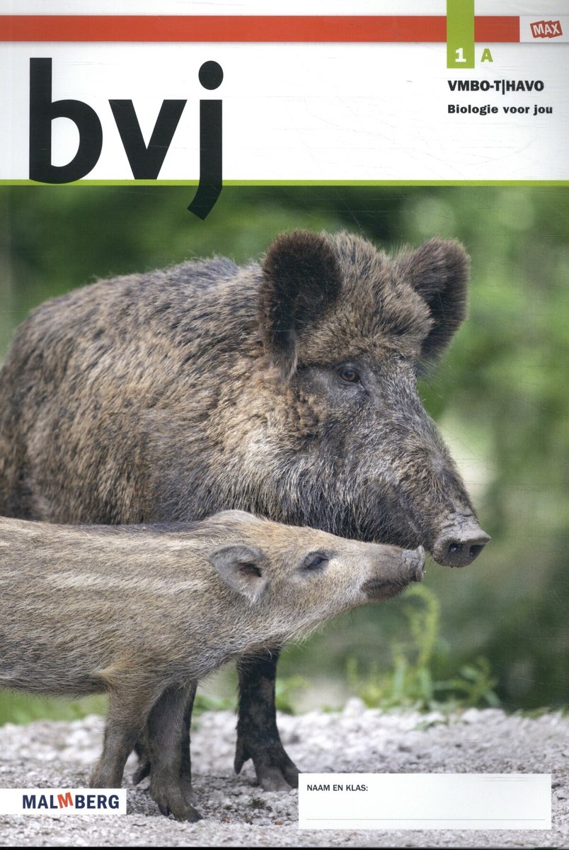 bvj MAX 1 vmbo-t/havo Deel A | 9789402068450 | Boeken | bol