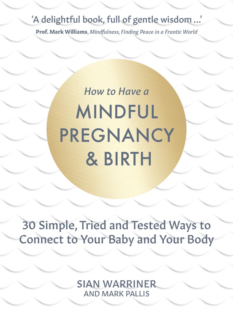How to Have a Mindful Pregnancy and Birth, Sian Warriner ...