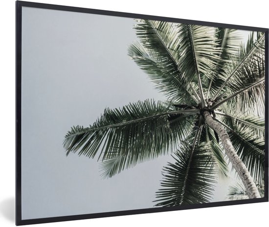 Fotolijst incl. Poster - Palmboom - Tropical - Zomer - 30x20 cm ...