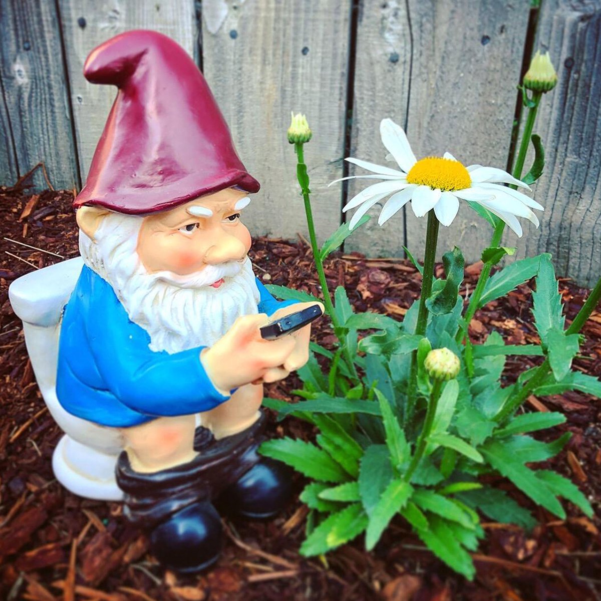 Grappige poepende tuinkabouter - Woondecoratie - Buiten - Tuin ...