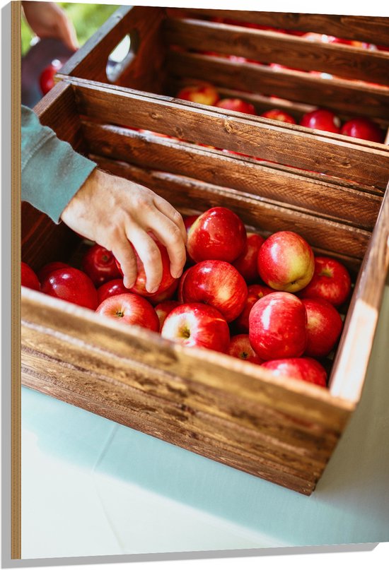 Hout - Krat - Fruit - Appels - Hand - Hout - 70x105 cm - 9 mm dik ...